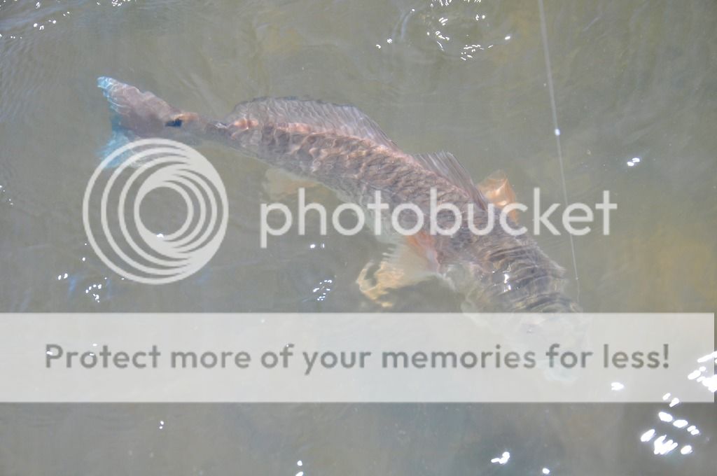 Texas middle coast report | Dedicated To The Smallest Of Skiffs