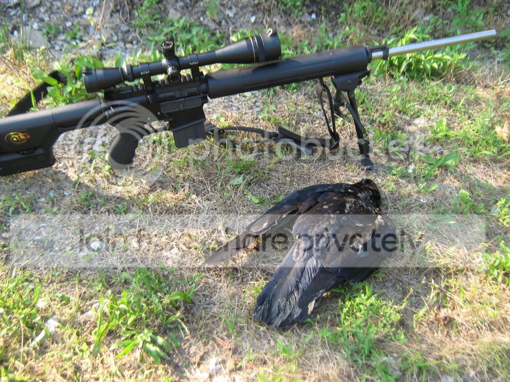 Colt 6724 > General Discussion > AR15.COM
