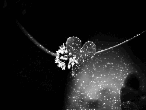 Boop-A-Doop - My Desktop Nexus